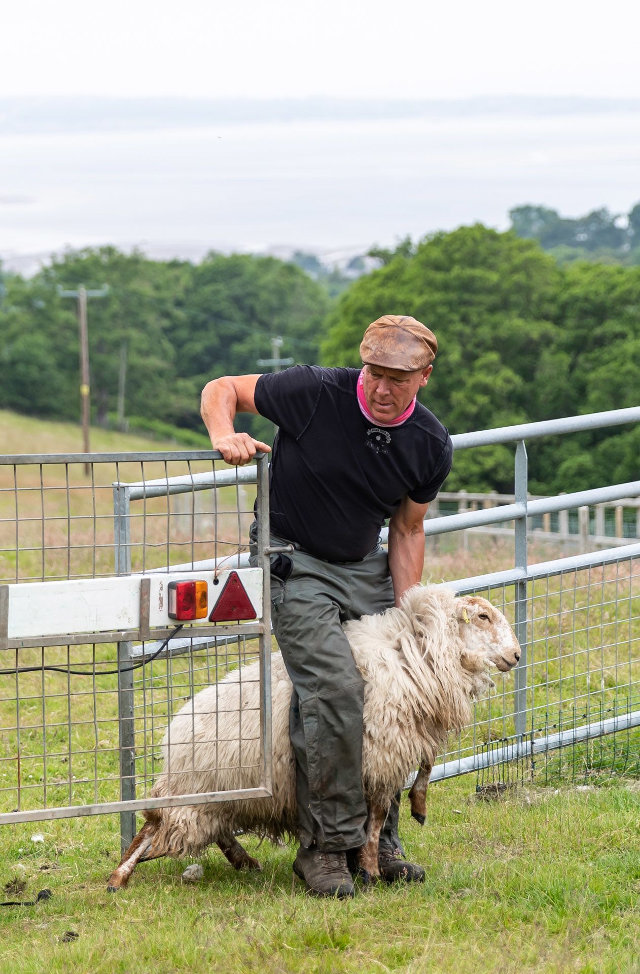 Life on Rugged Terrain | Honda Engine Room